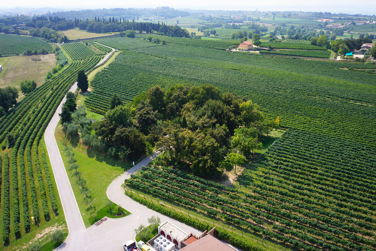 Tenute Roccolo del Lago | Lazise Lago di Garda | Cantine Campagnola